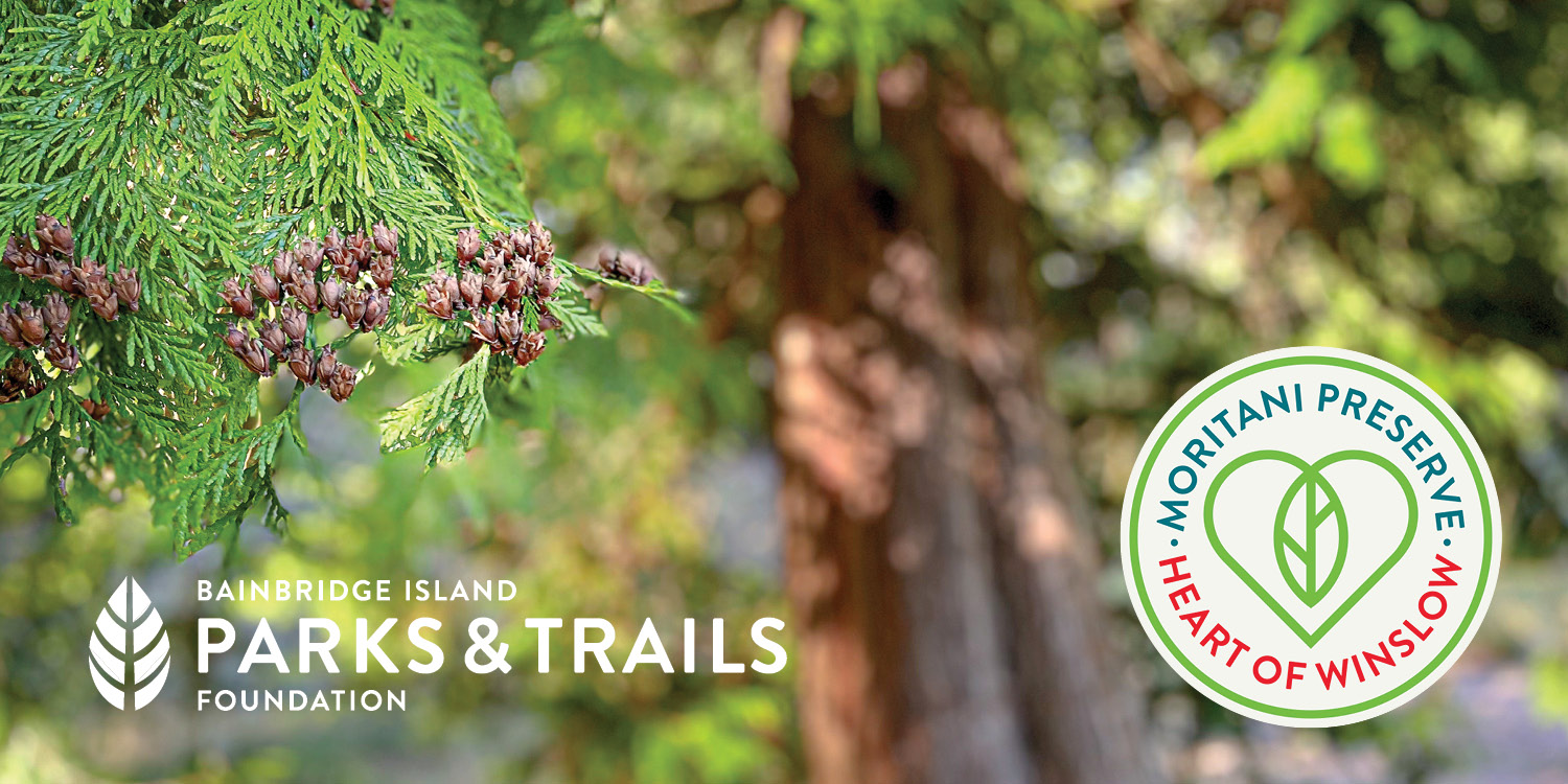 Moritani Preserve | Bainbridge Island Parks & Trails Foundation